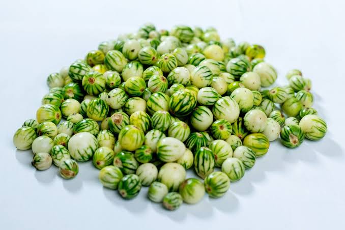 Bitter berries – Seran foods